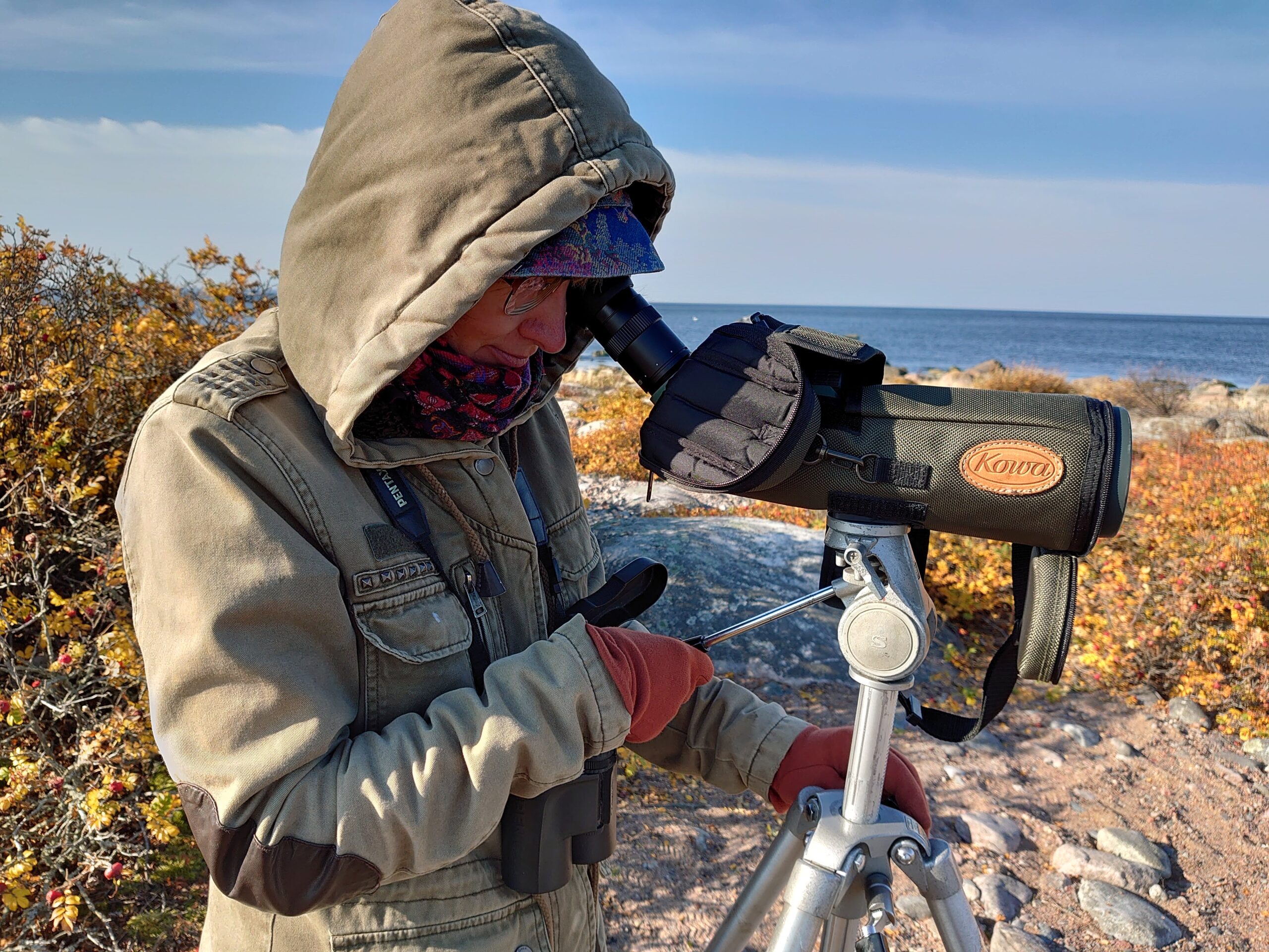 EnviroCitizen does EuroBirdwatch - Under and Tuglas Literary Institute ...